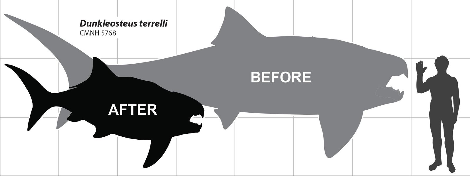 Dunkleosteus Terrelli - dinociencia.com